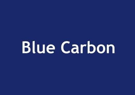 Energy Storage Systems Archives | Blue Carbon Nigeria